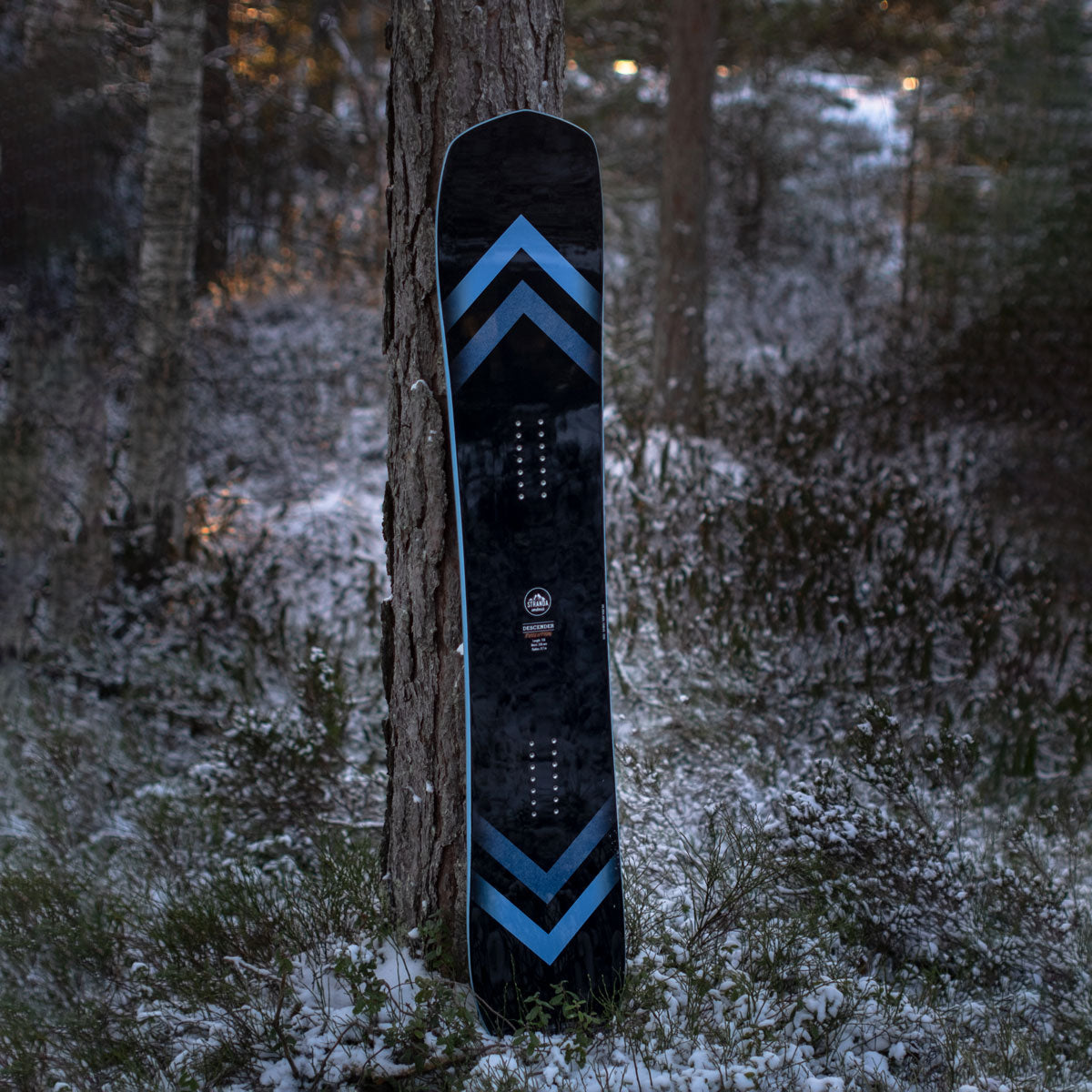 Stranda Descender Evolution – The Sick And The Wrong